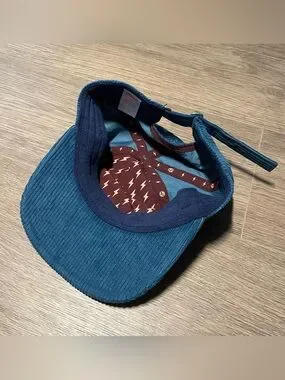 pistil | Accessories | Pistil Carlton Blue Corduroy Low Profile Flat ...